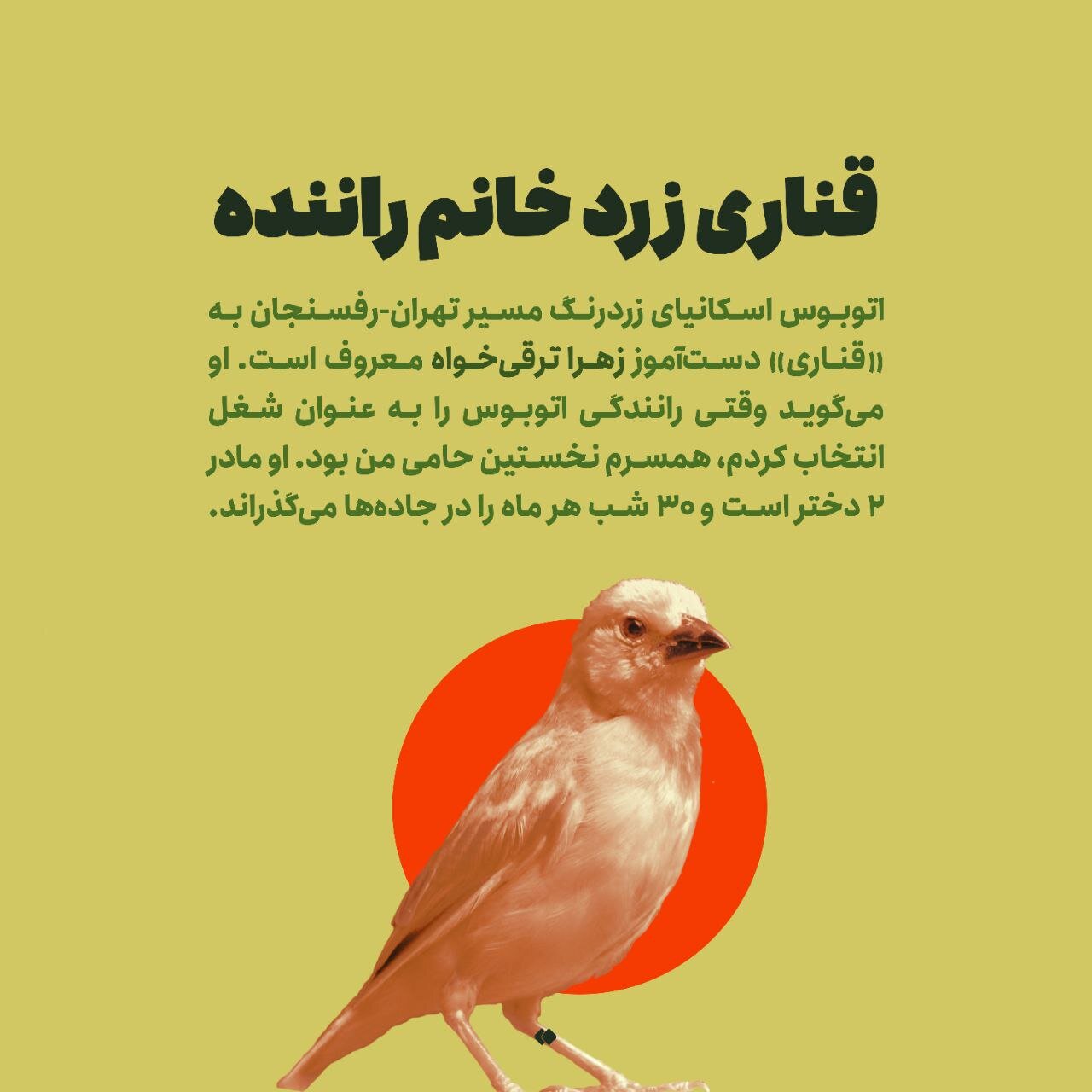 عجیب ترین و خاص ترین شغل های زنان در ایران؛ از پرورش سوسک تا راننده