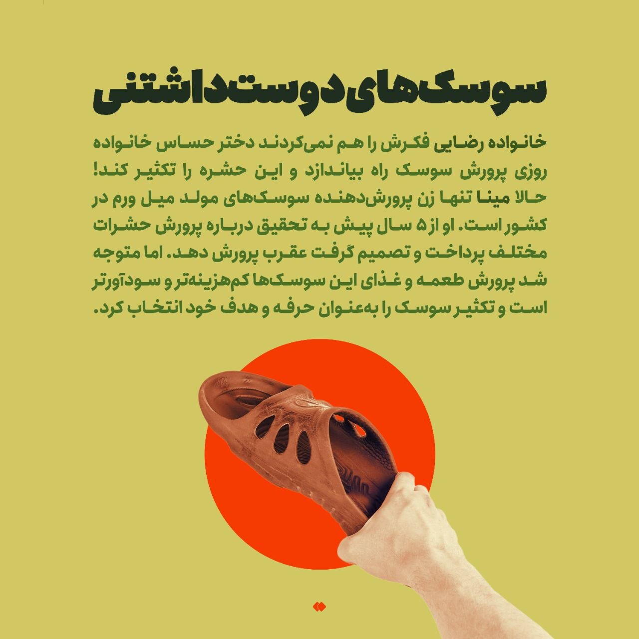 عجیب ترین و خاص ترین شغل های زنان در ایران؛ از پرورش سوسک تا راننده